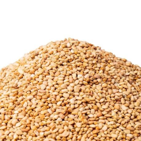 Oloyin Beans – UdyFoods